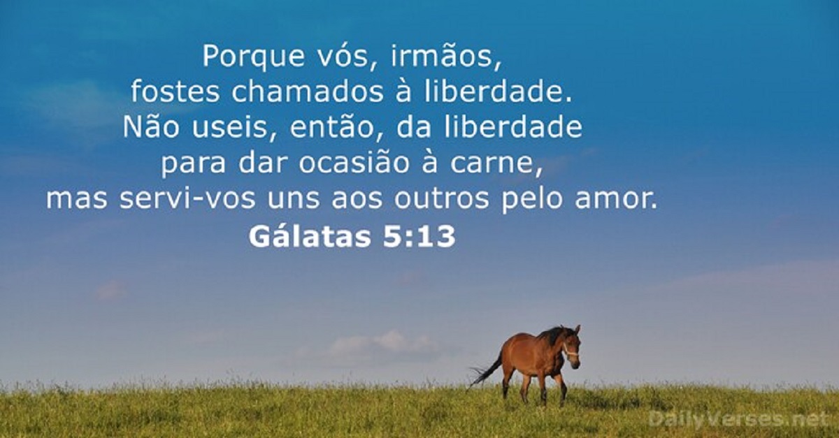 Versículos da Bíblia sobre Liberdade - Ler Bíblia Todo dia
